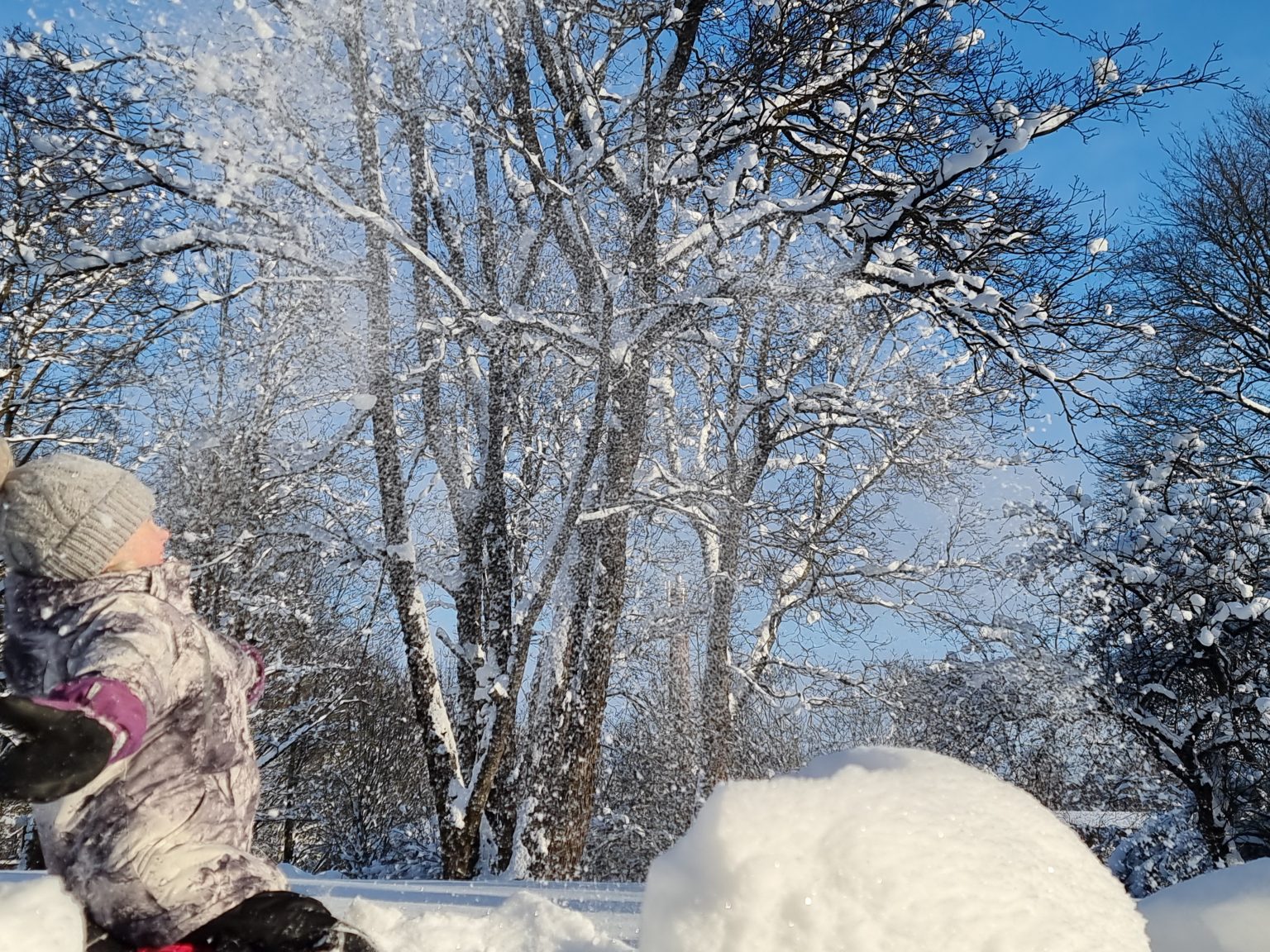 Voimauttava valokuvaus -viikonlopun satoa - LapCI